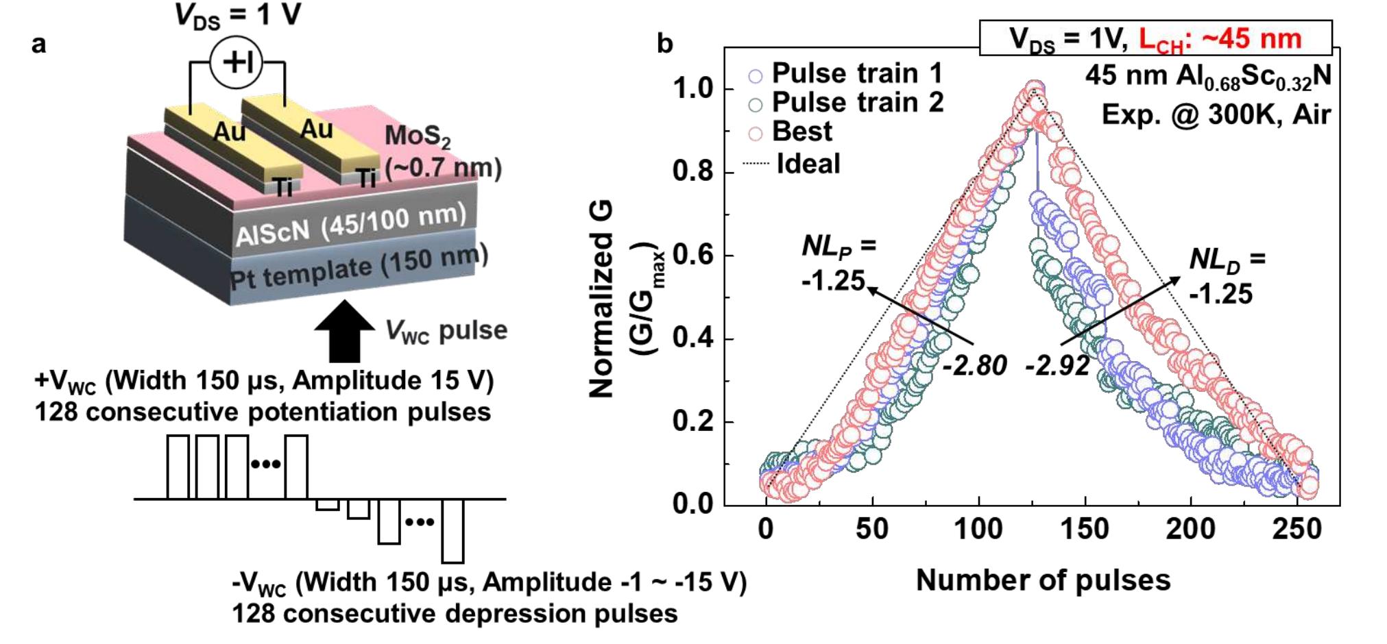 Figure 16 - Scalable CMOS-BEOL compatible AlScN/2D Channel