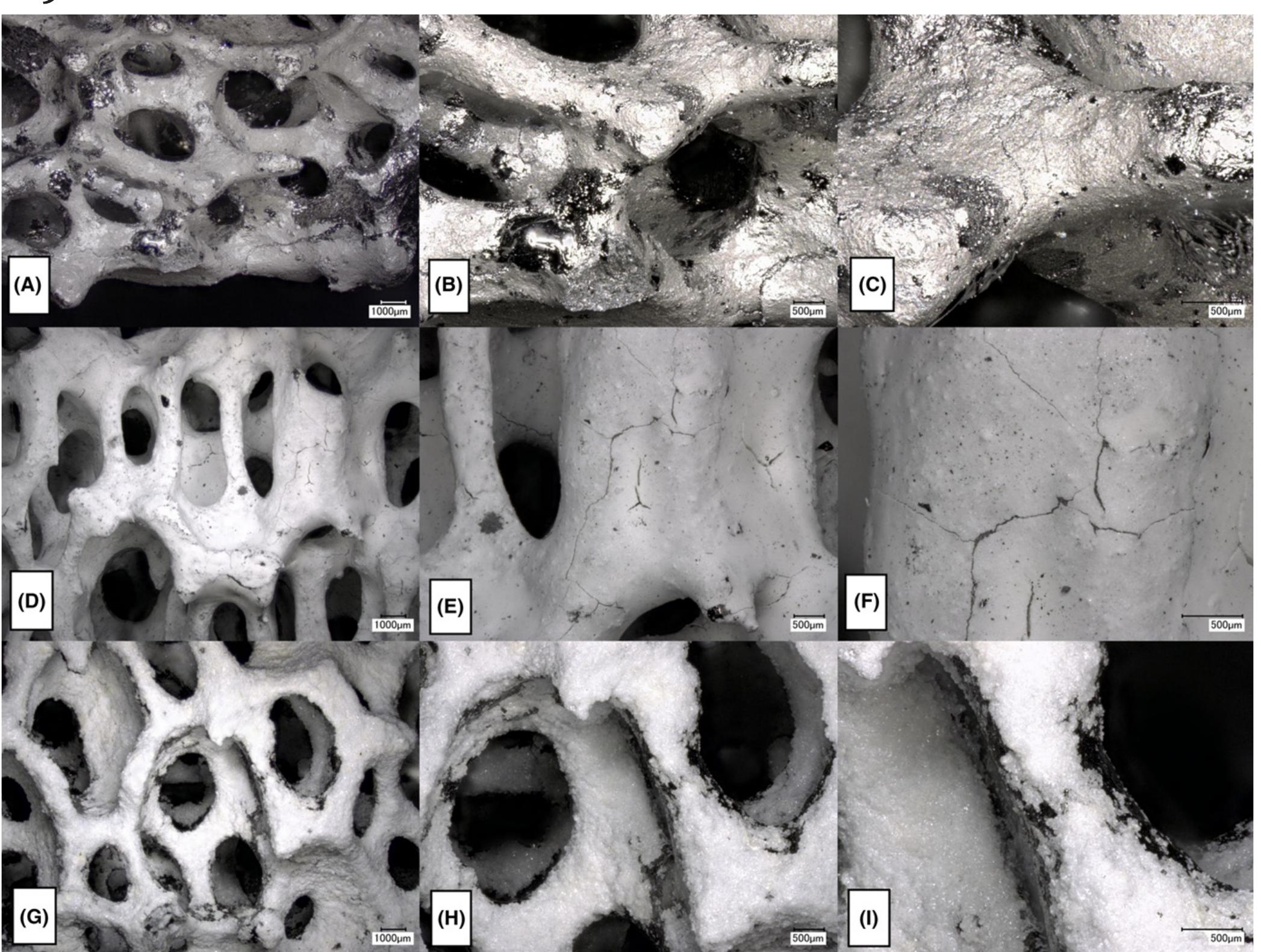 Surface morphology of filter ac at 20x (a), 50x (b), and