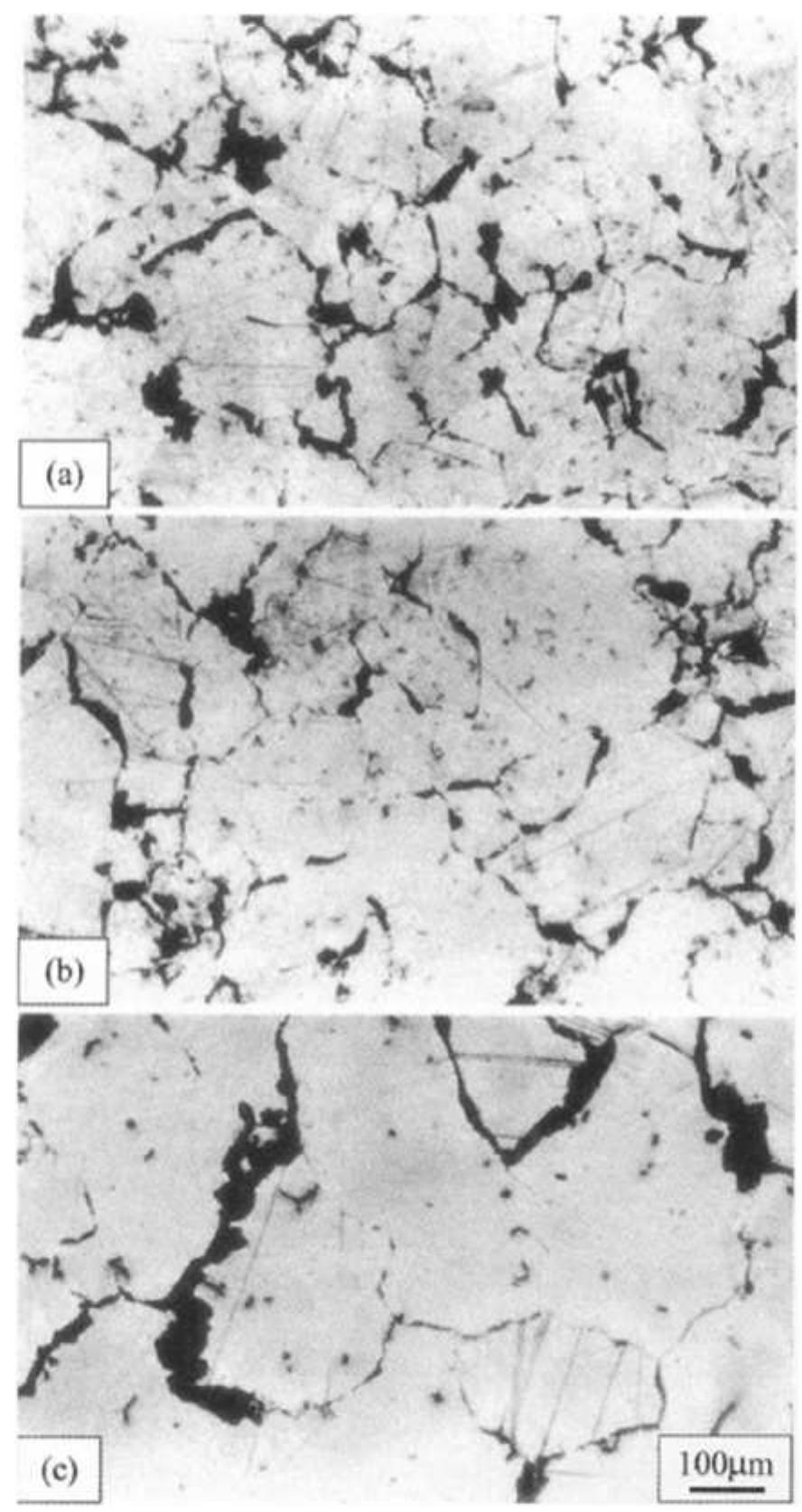Optical micrographs showing the grain structures of the
