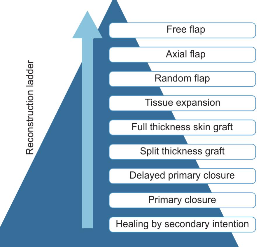 Soft tissue reconstruction ladder