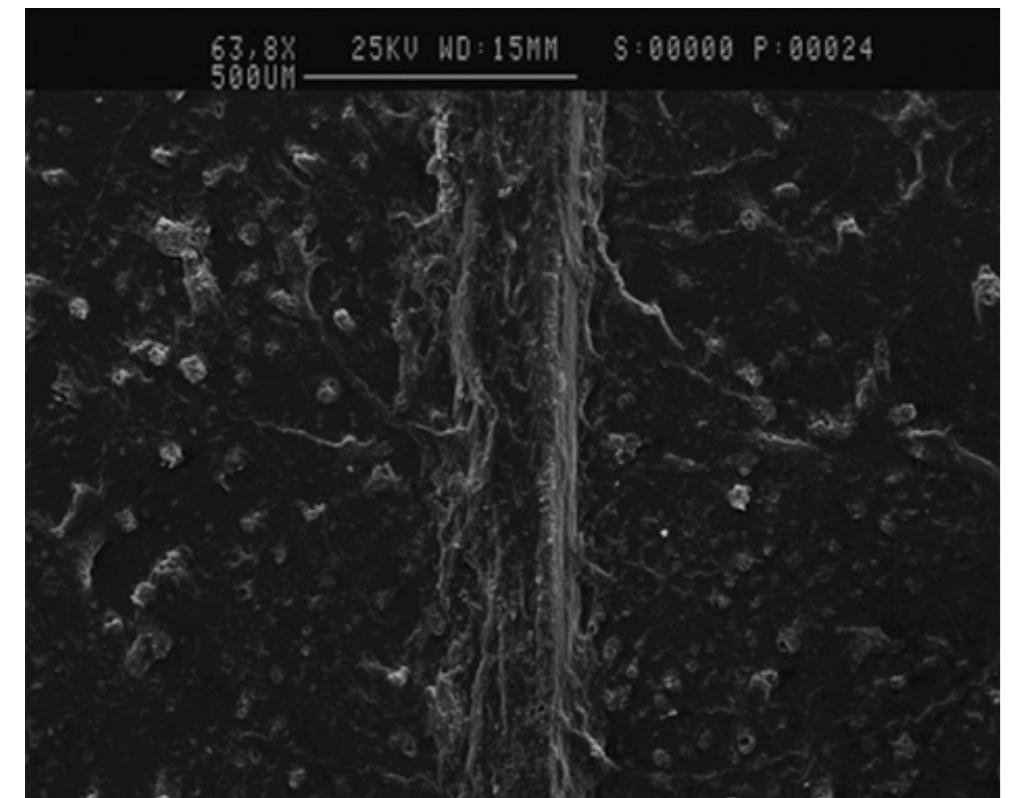 4.5. scanning electron microscope images of slice marks.