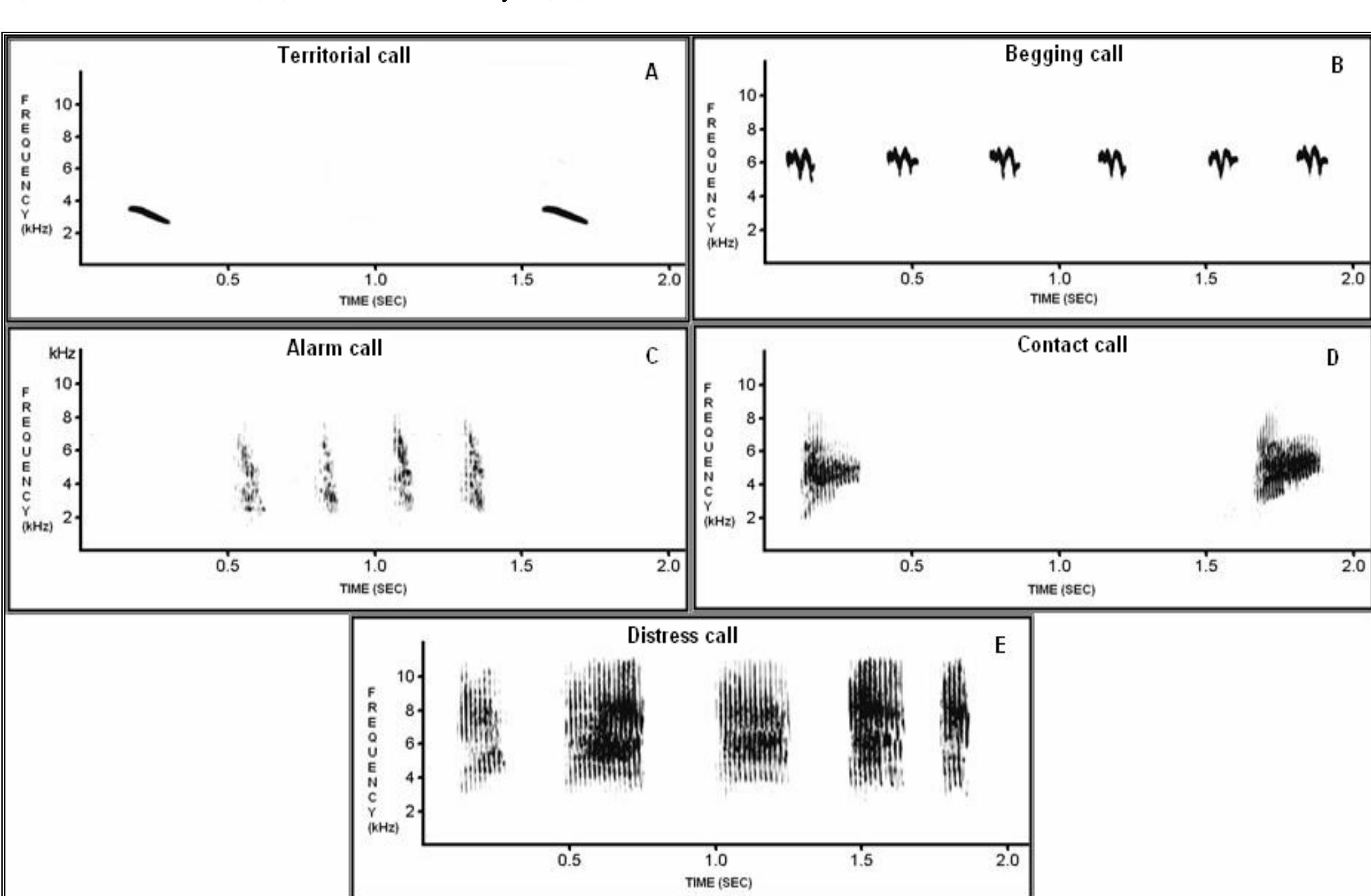 Spectrograms of different call types used by pied bush chat