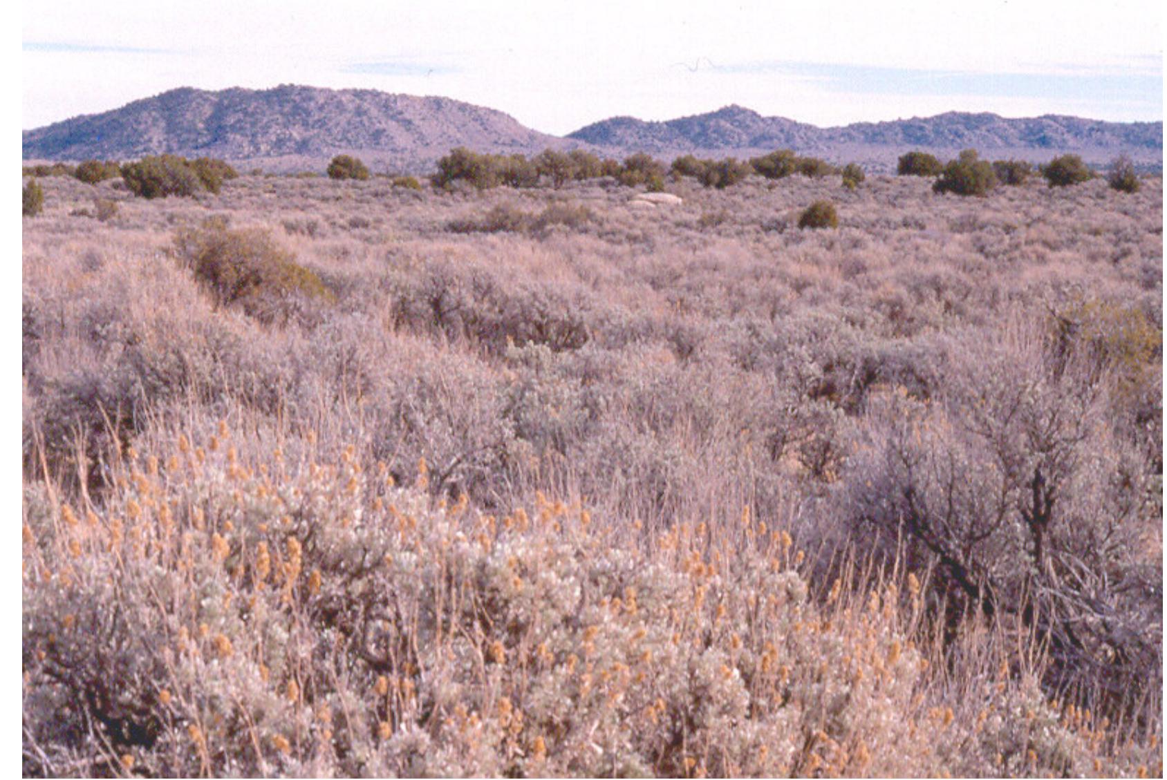 Figure 7 - Mojave Desert ecosystem program: Central Mojave
