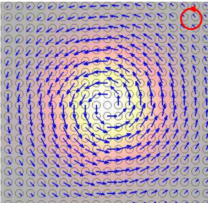 Map of the spin flow density of (4.8) for a circularly