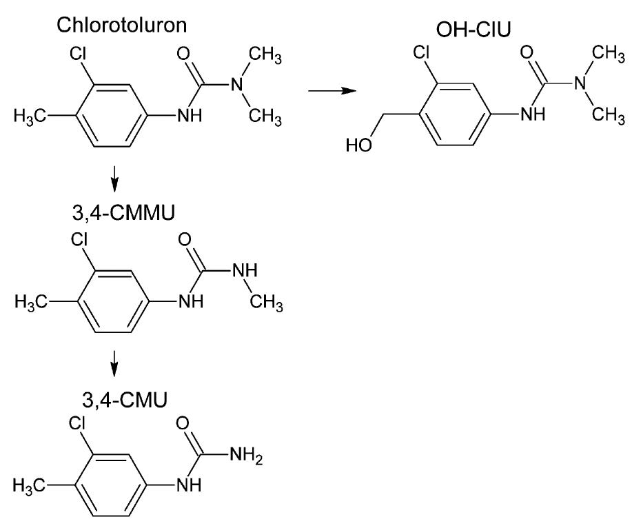 Proposed degradation pathways of chlorotoluron by