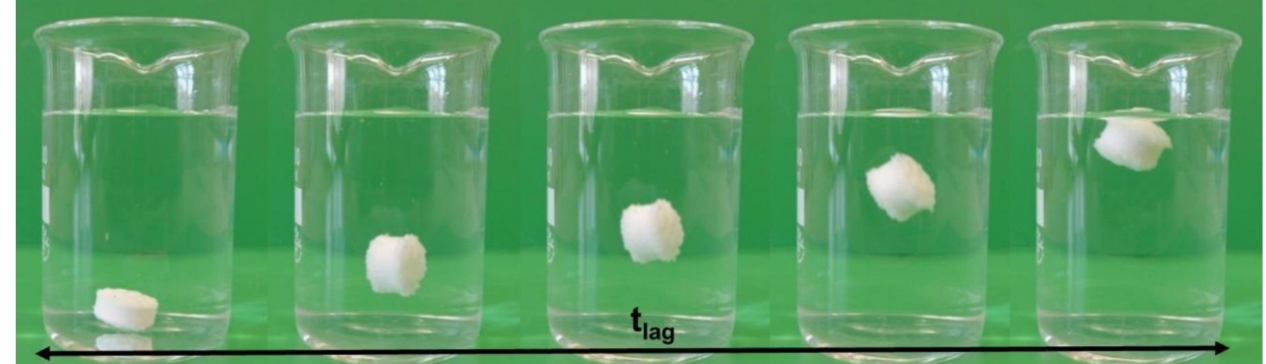The processes of floating lag time measurements