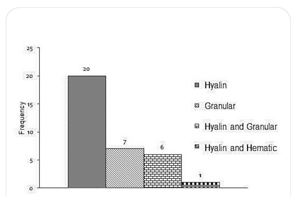 Frequency of different types of casts after microscopic