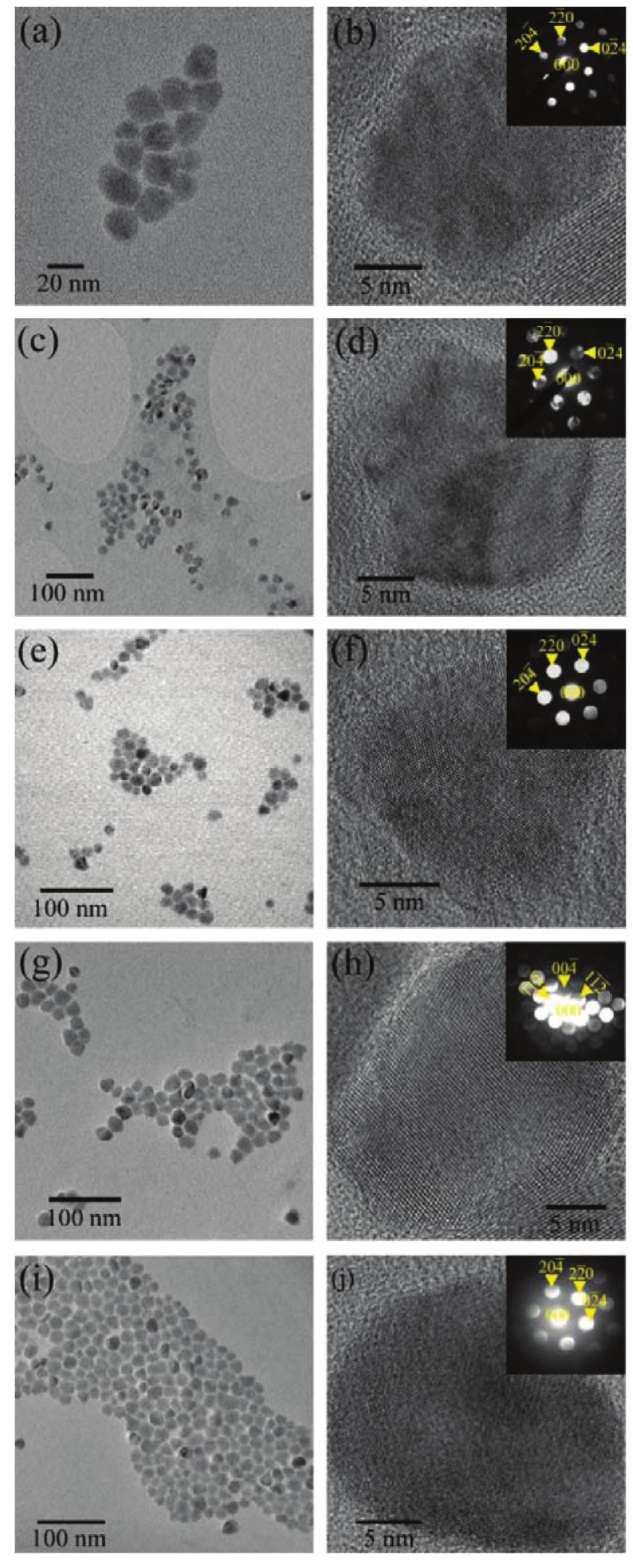 Tem images showing the different growth stages of