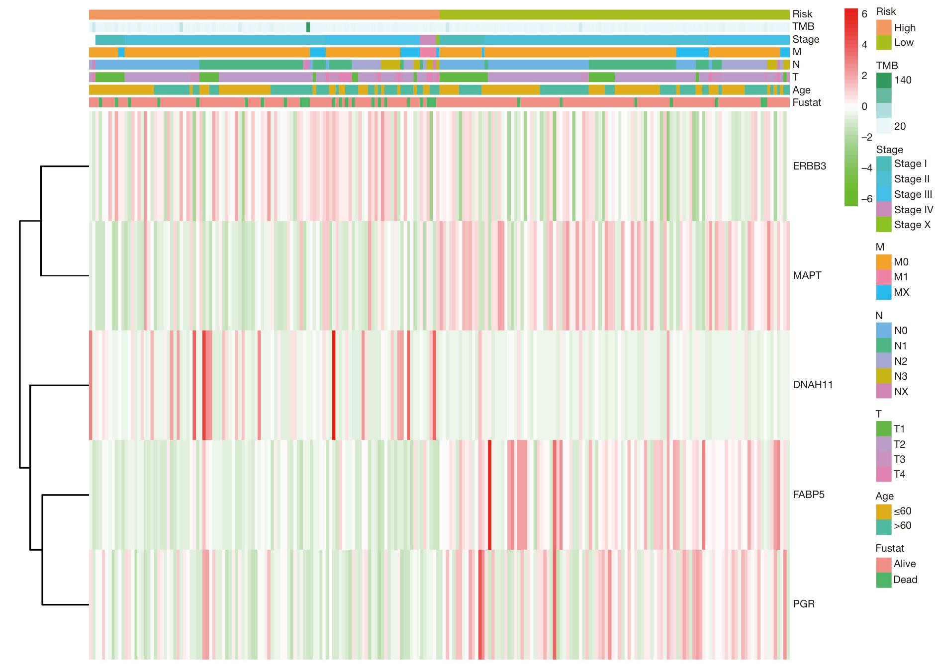 The heat map shows the expression of 5 signatures and the