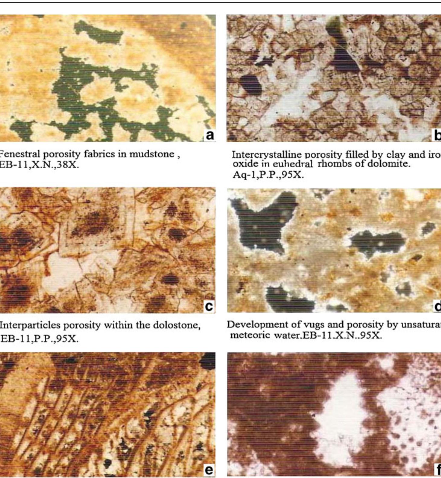 Figure 7 - Sedimentological and depositional environment
