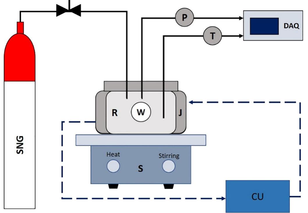 Schematic diagram of the setup used for natural gas hydrate