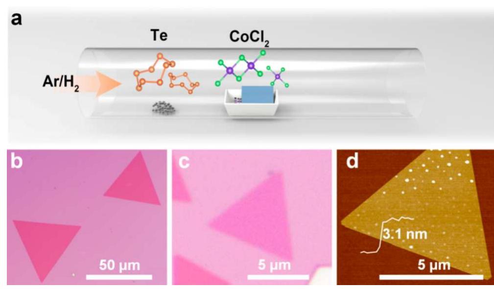 (a) schematic illustration of the home-built cvd system for