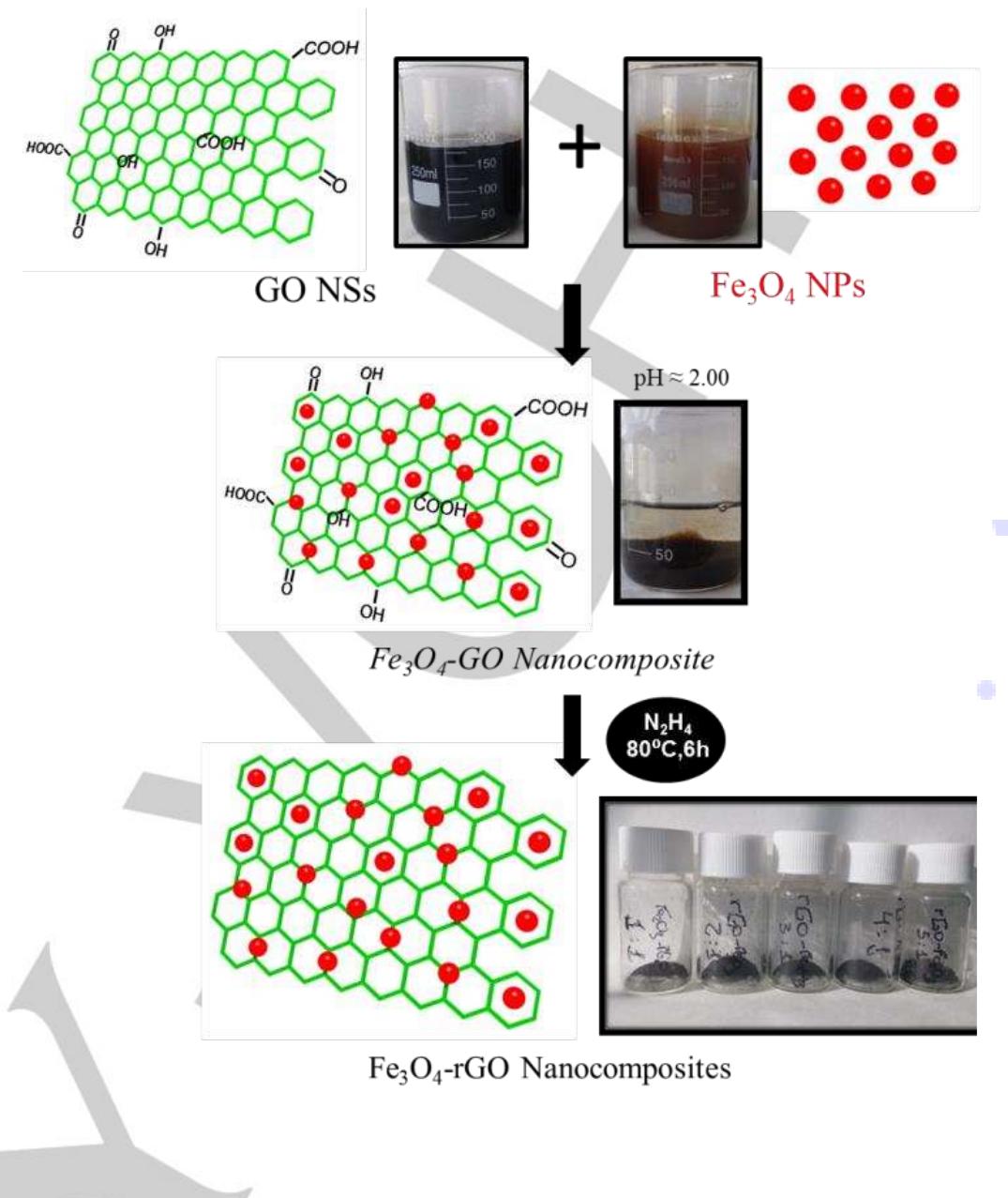 Schematic illustration of electrostatic coagulation of