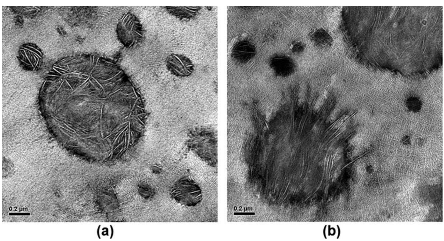 Figure 5 - from Polypropylene/polyethylene blends as models