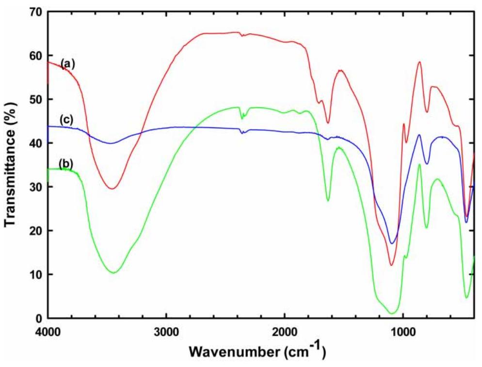 | ftir spectra of sulfonated carbon: (a) sc-300, (b) sc-600,