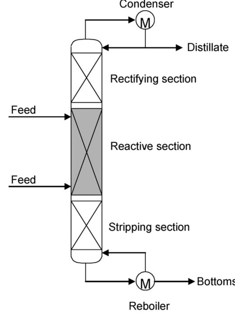 Schematic diagram of reactive distillation column.