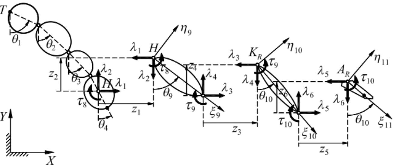 The kinematic chain of the right lower limb, the