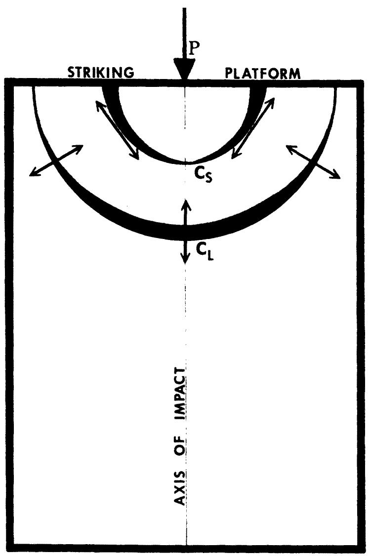 Propagation of spherical longitudinal and shear waves into