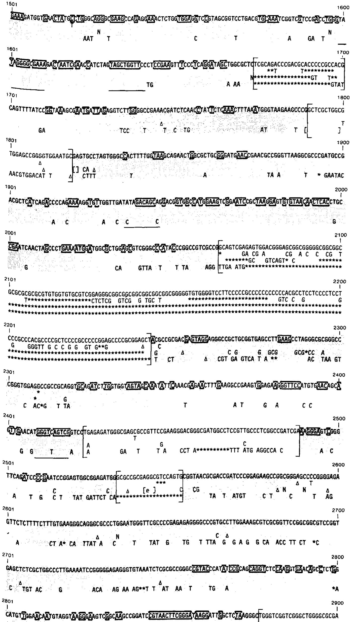 Figure 2 - The secondary structure of human 28S rRNA: The