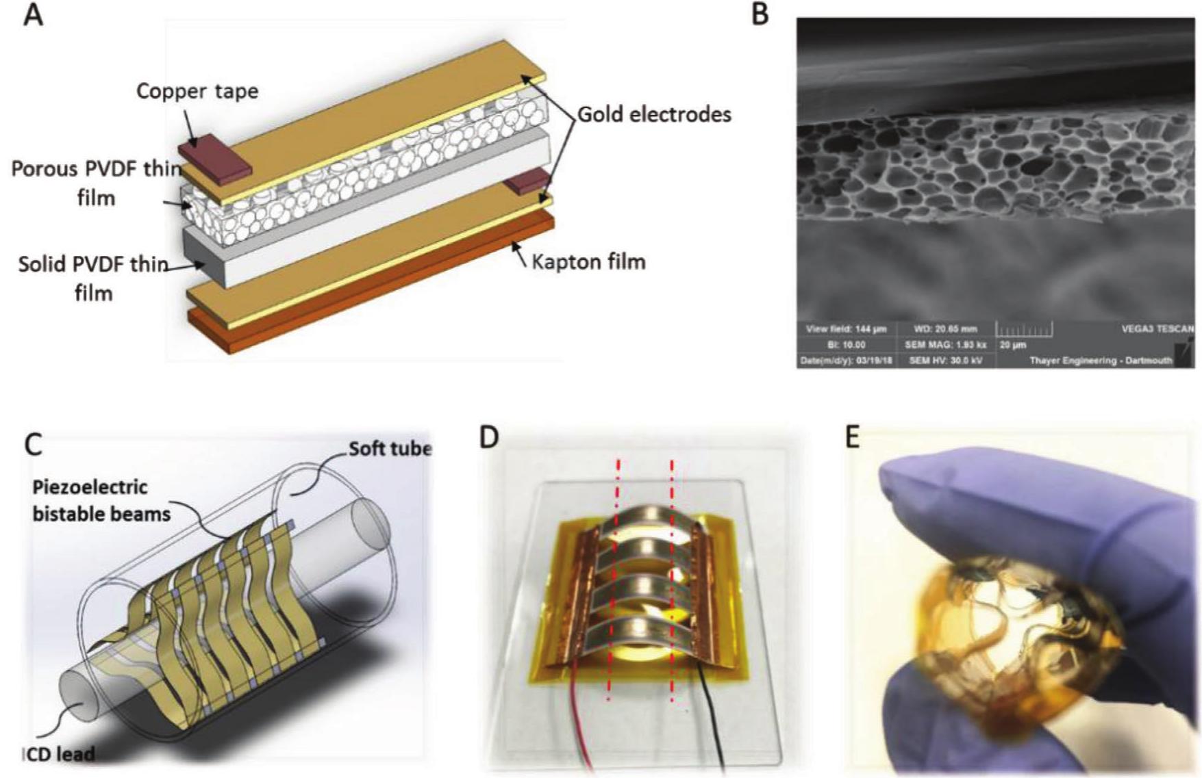 A) schematic of porous pvdf-trfe thin film. b) sem image of