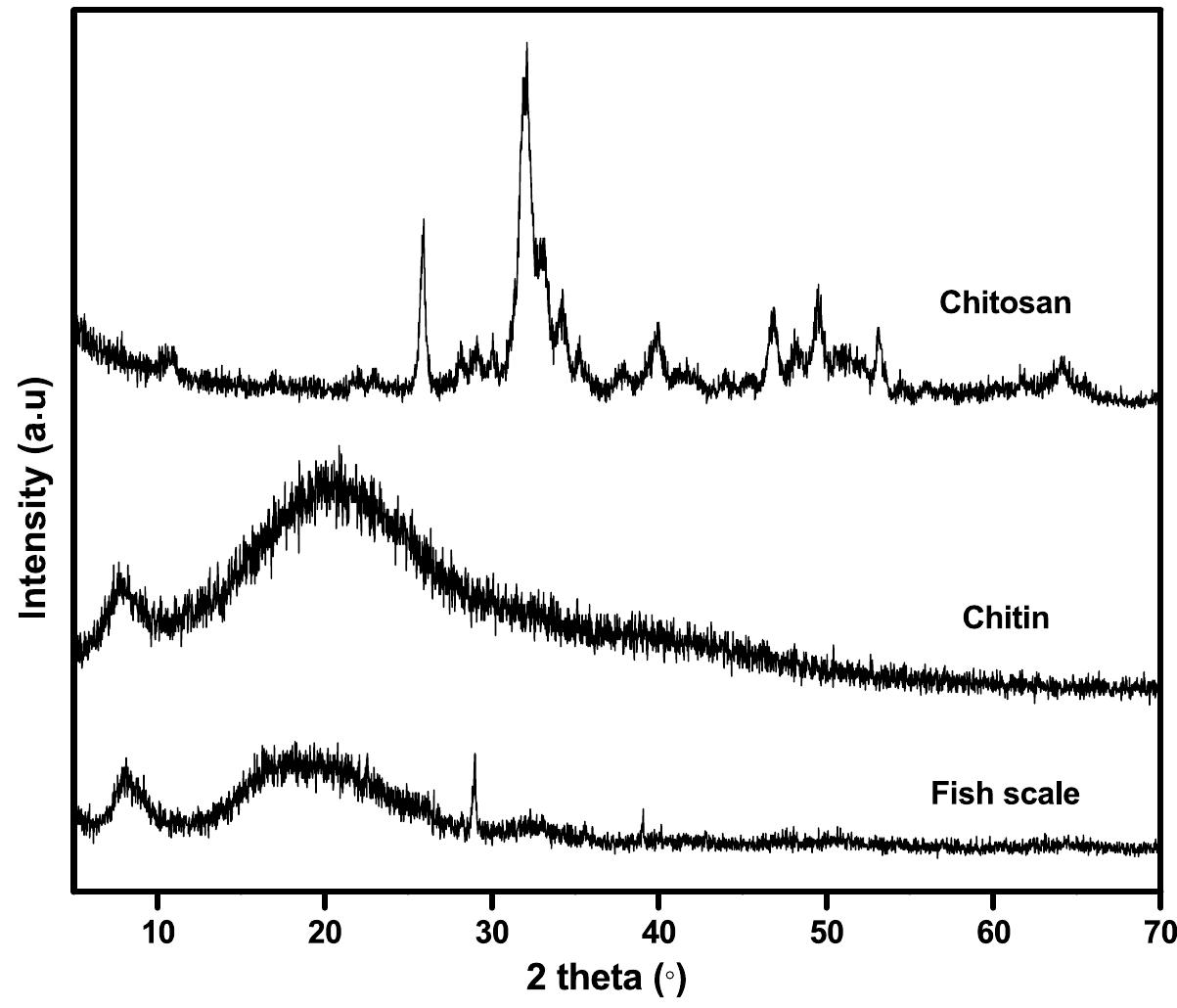 X-ray diffraction patterns of fish scales, chitin and