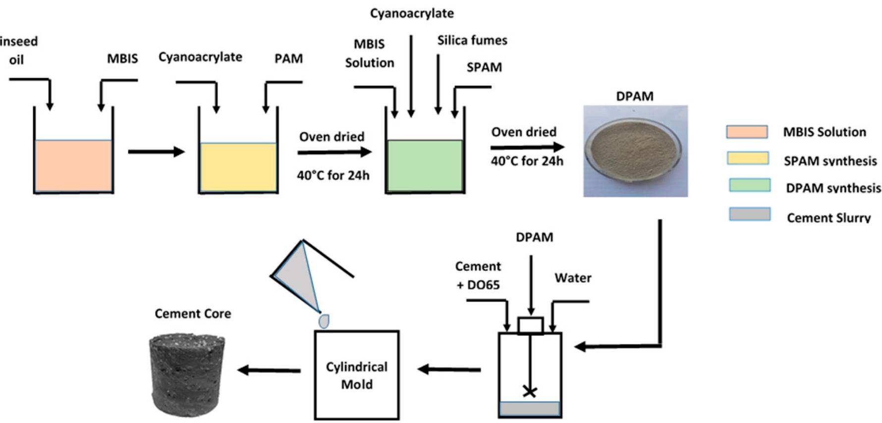 Schematic diagram for the synthesis of dpam and cement core.