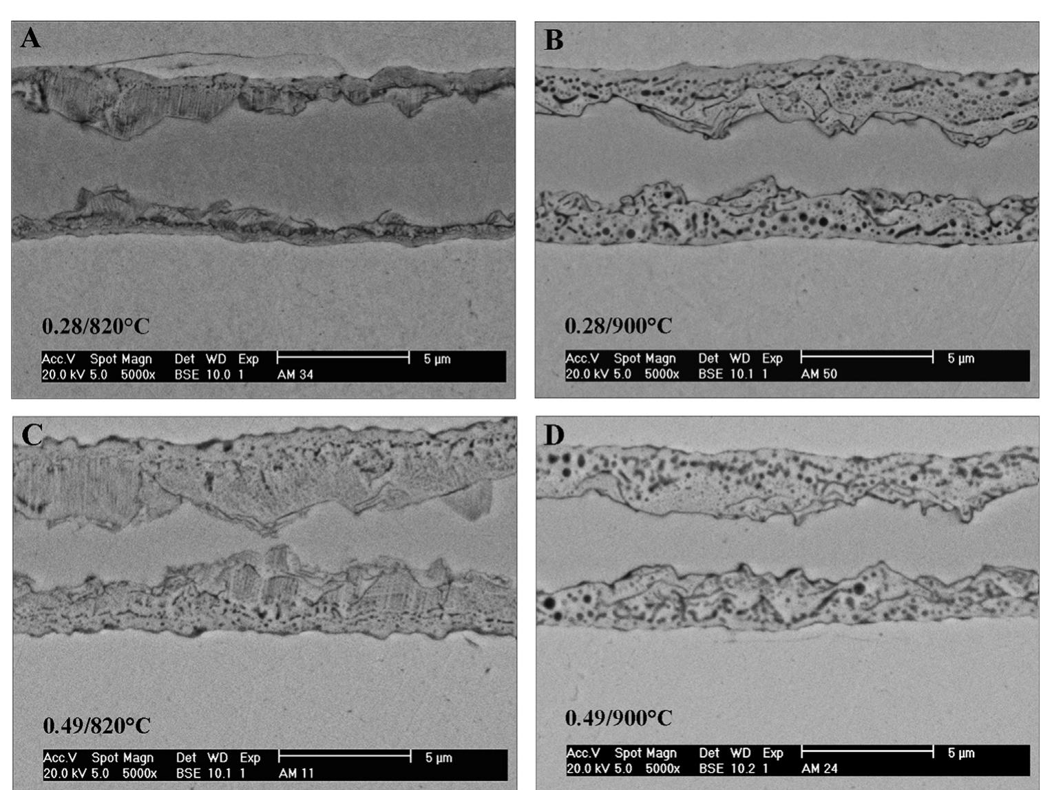 Sem cross-section images of specimens after decarburization