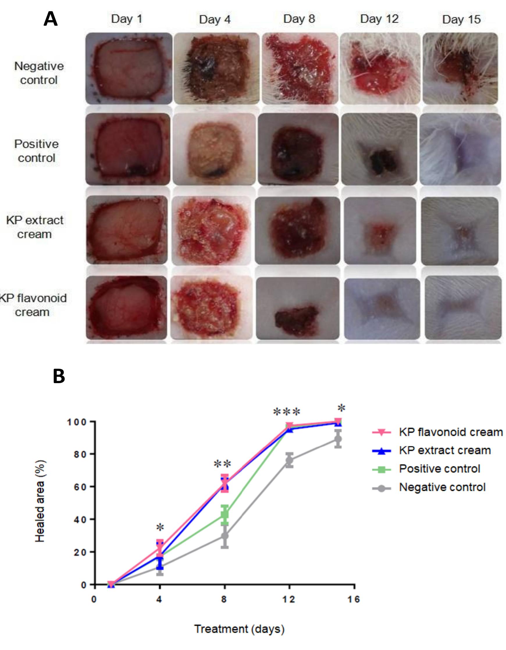 $1. macroscopic evolution of wound healing in the different