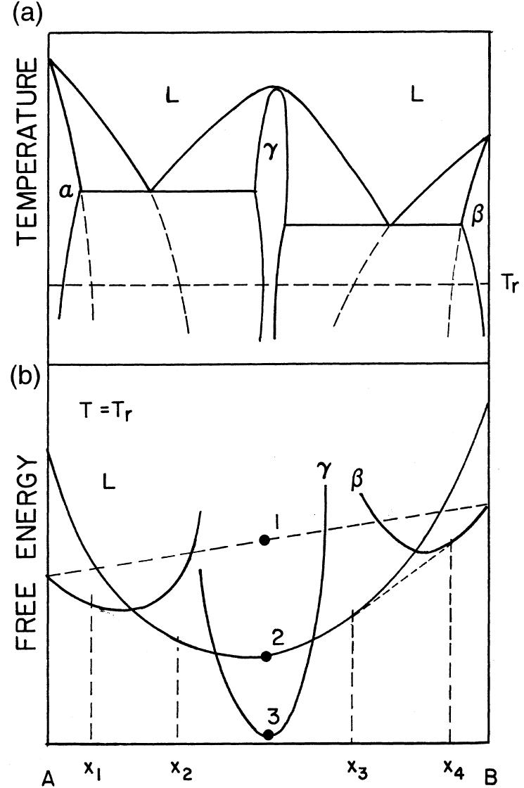 A Hypothetical Binary Phase Diagram Featuring Some Solid 0787