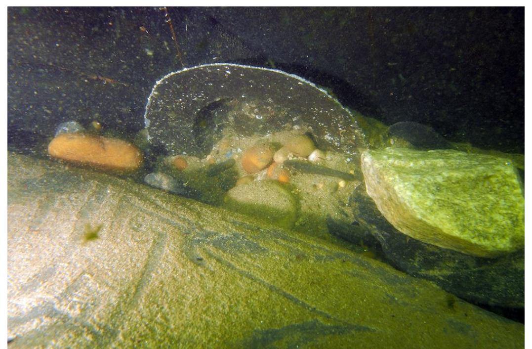 Artifacts from belinho shipwreck with dating estimated from