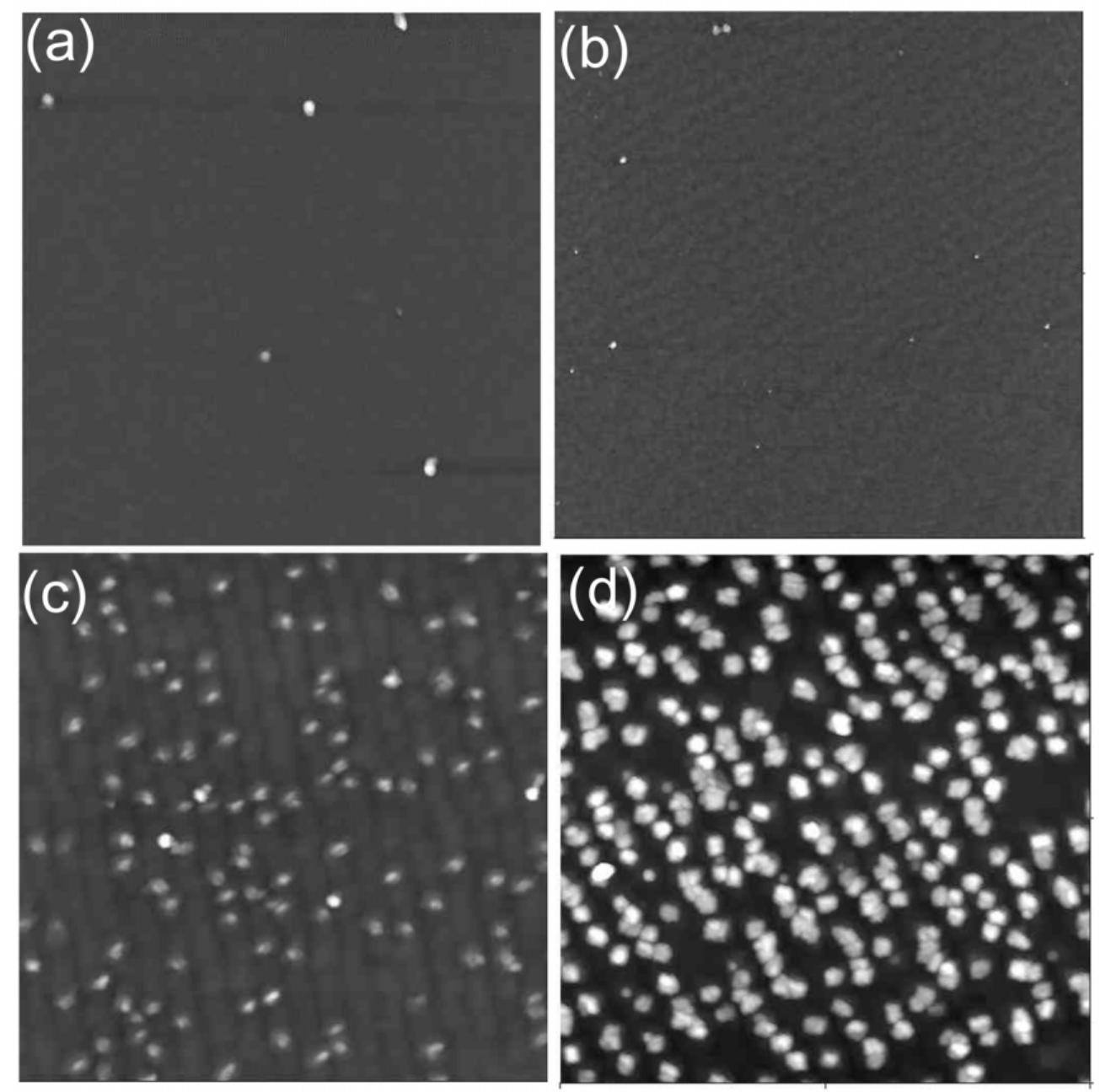 Tapping-mode afm images for the same four films for which