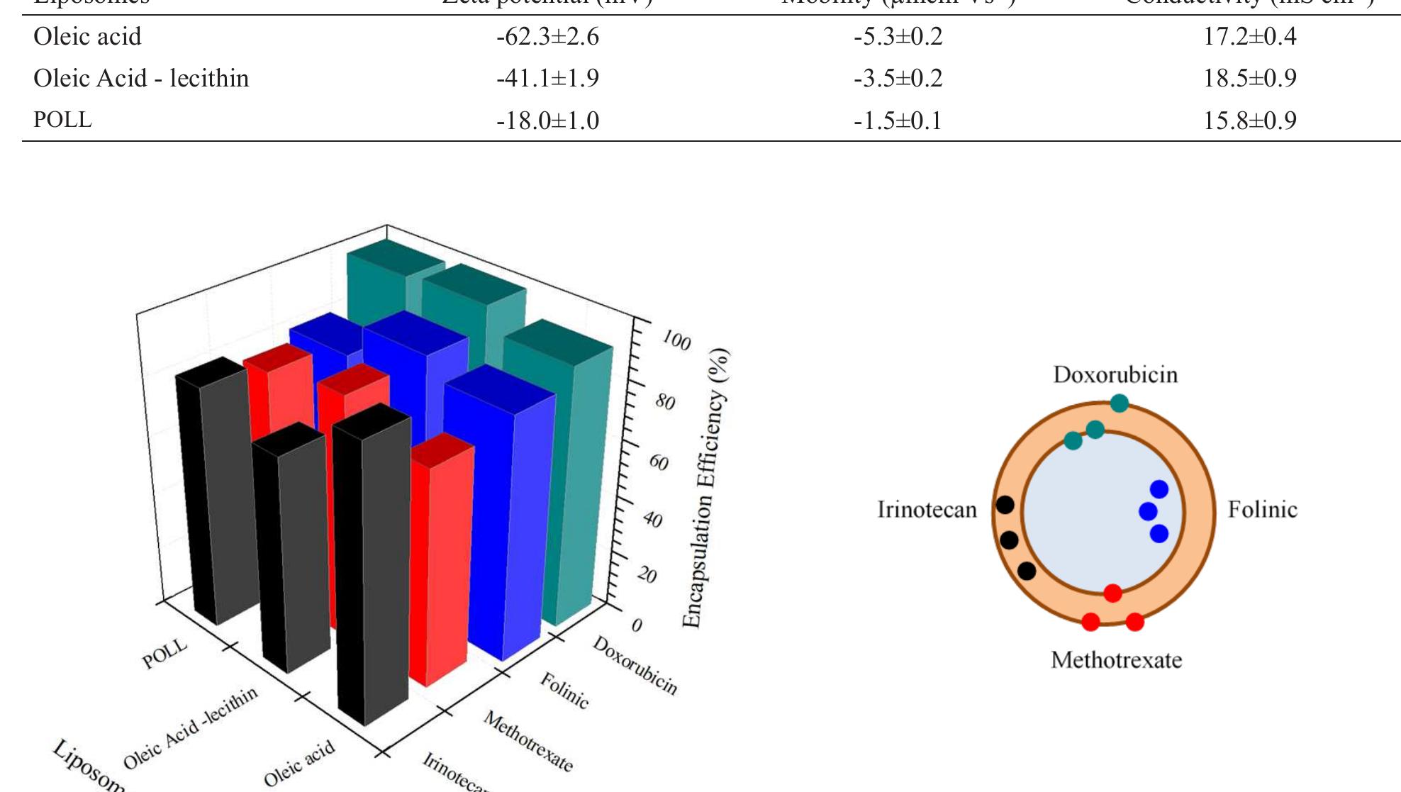 Encapsulation efficiency (left) and distribution of