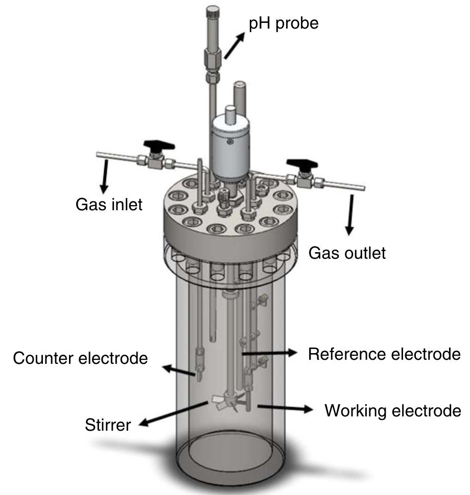 Schematic of autoclave system equipped for electrochem- ical
