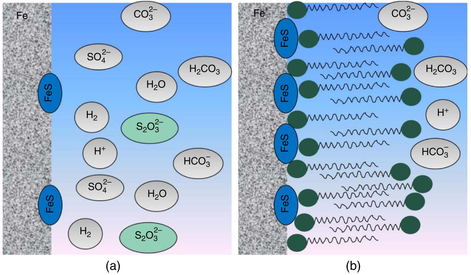 Hypothesis for the inhibition mechanism in pure coz