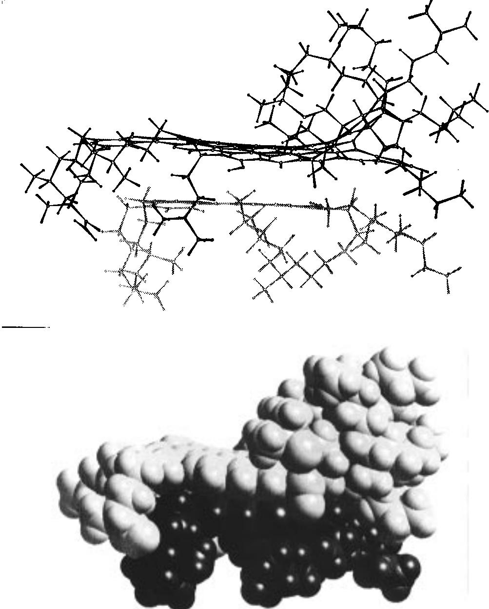 (a, top) side view of the dimer formed with t model