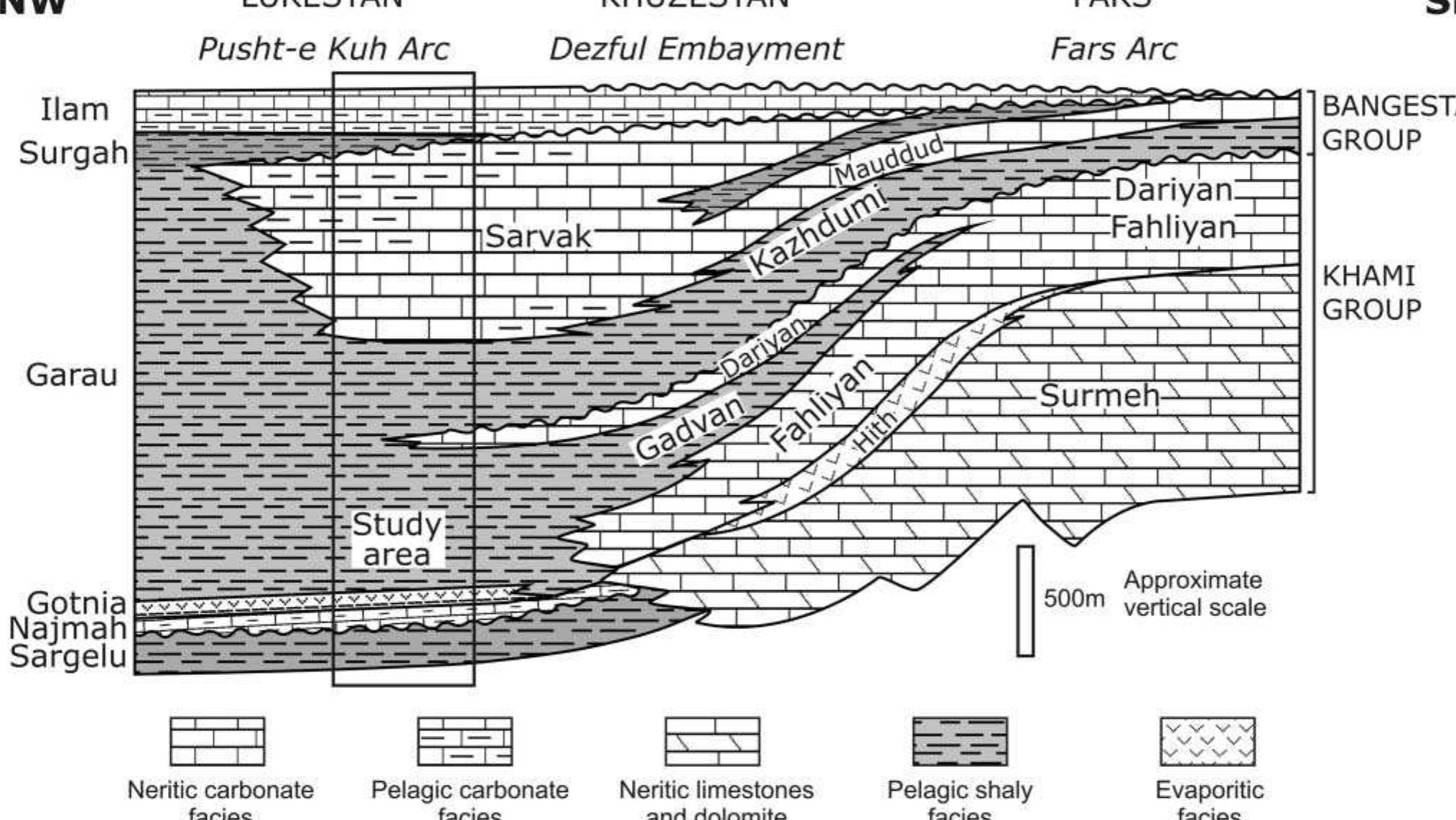 Schematic stratigraphic section illustrating the
