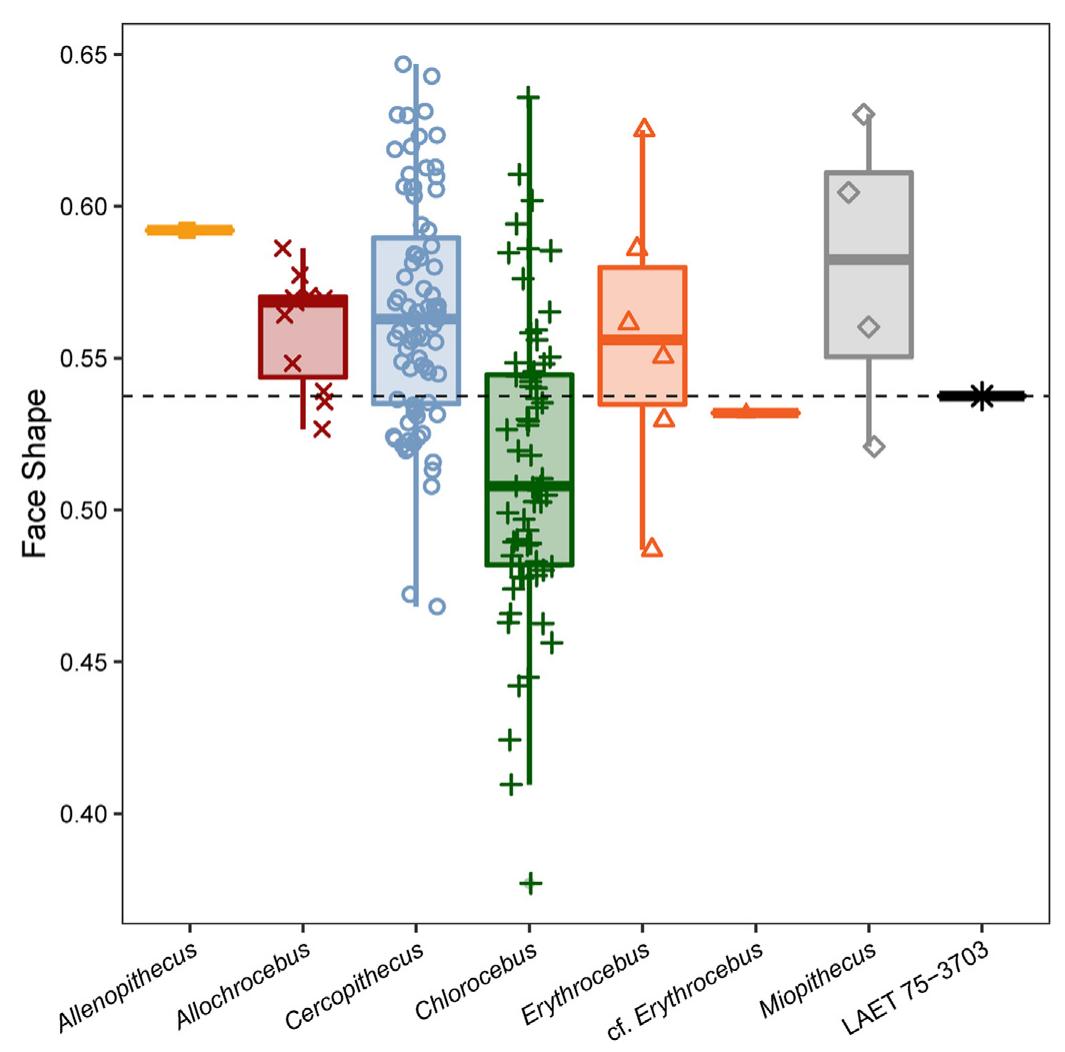 Boxplot showing the distribution of face shape calculated as