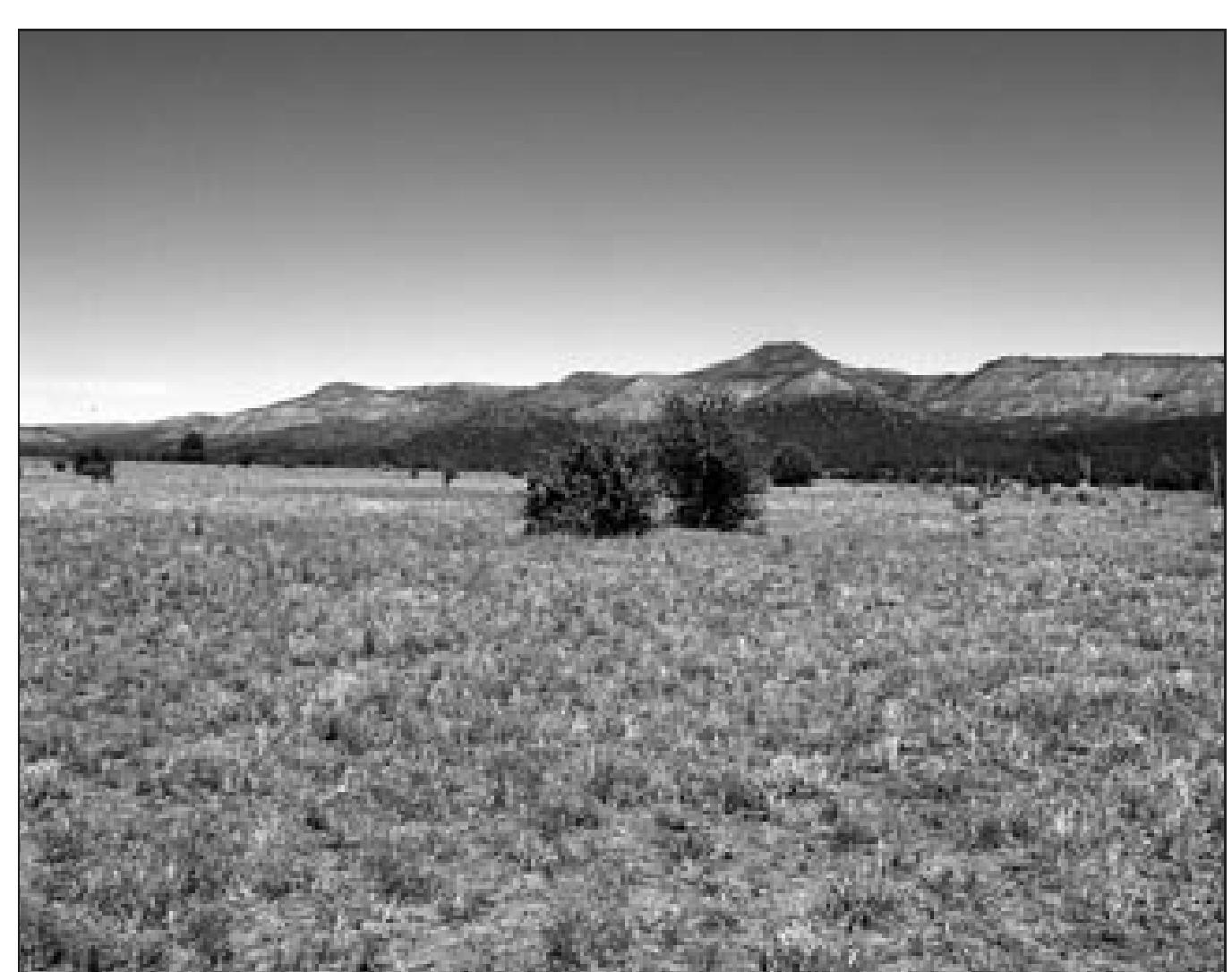 Figure 3 - Retracing the Battle of Cibecue: Western Apache,
