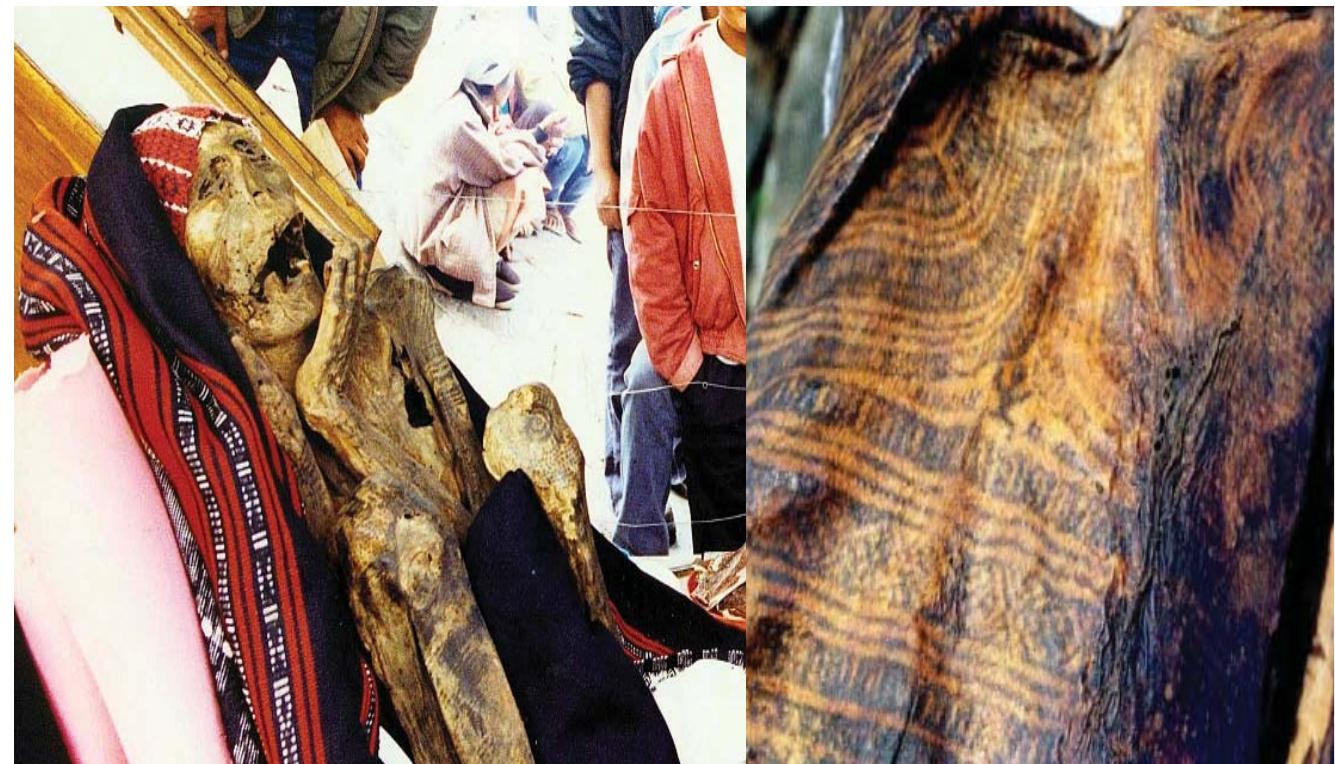 S 5-6: appo anno, the seated mummy of benguet, is clad with