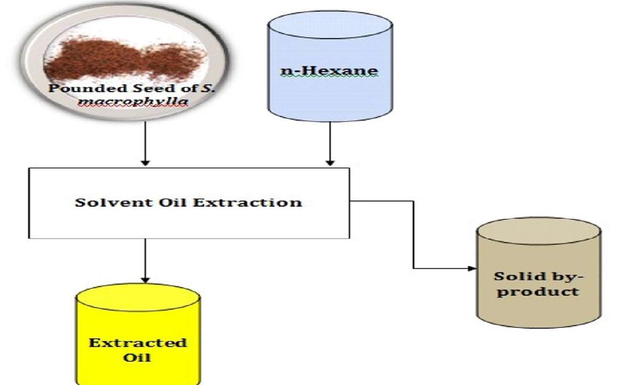 Schematic flow of s. macrophylla seed oil extraction