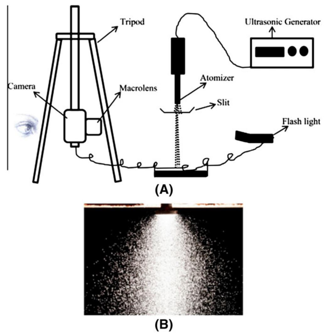(a) schematic representation of the experimental setup (b) a