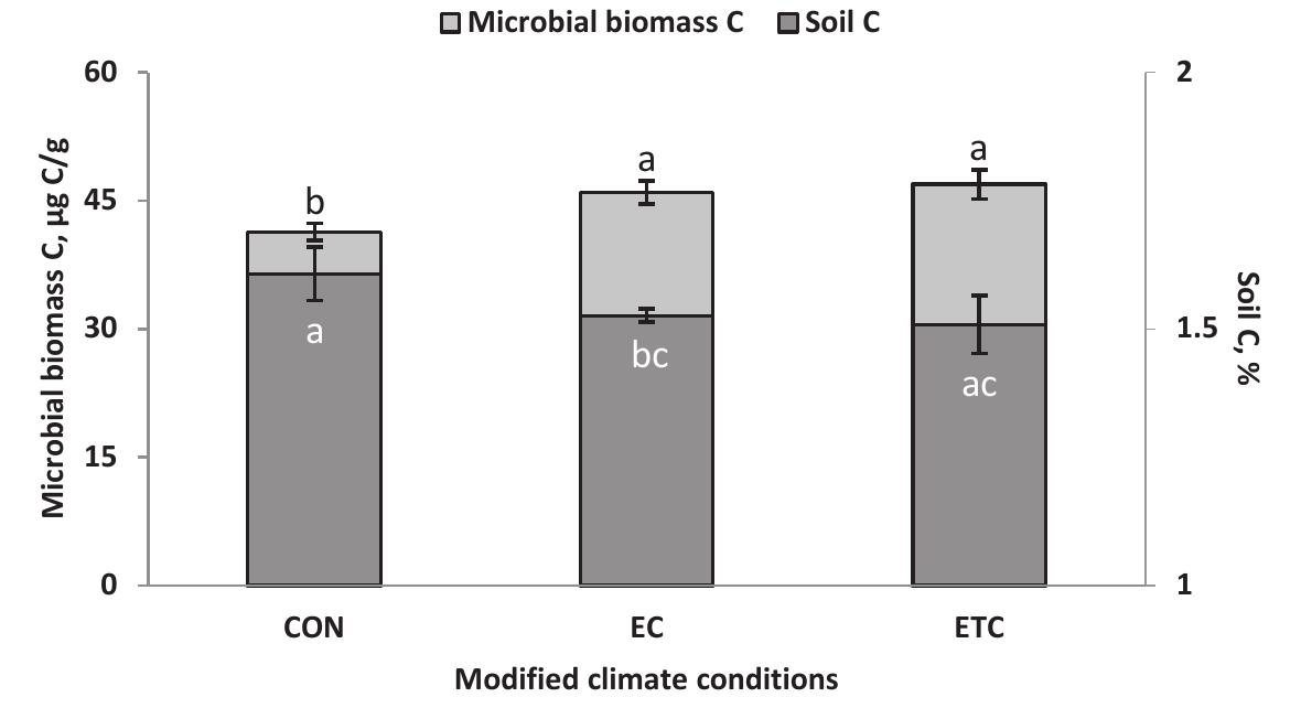 Microbial biomass carbon and soil carbon under modified