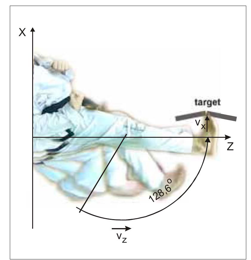 The roundhouse kicks structure — top view. roundhouse kick