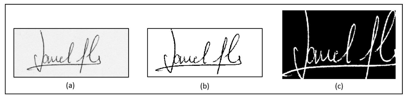 (a) a signature image from mcyt-75 signature dataset, (b)