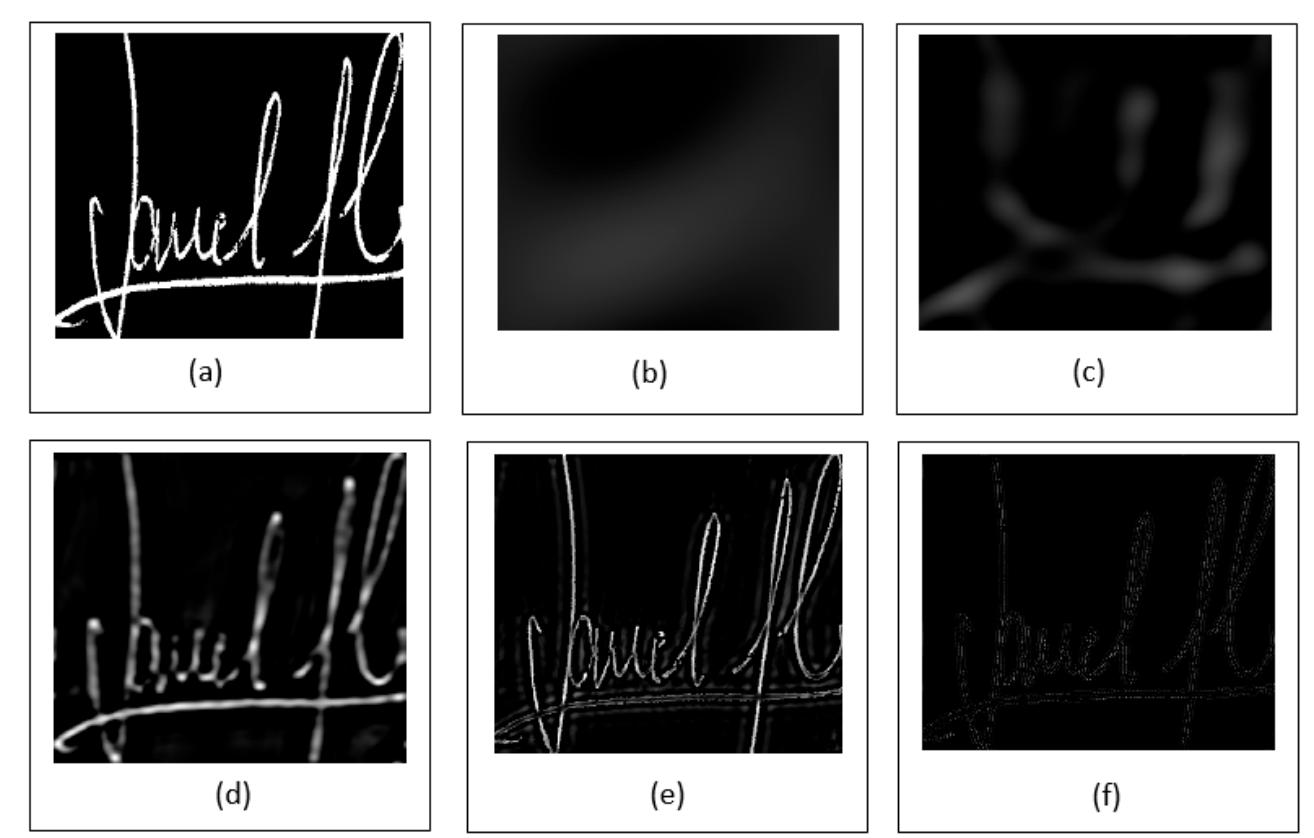 (a) a signature image from the mcyt-75 signature dataset,