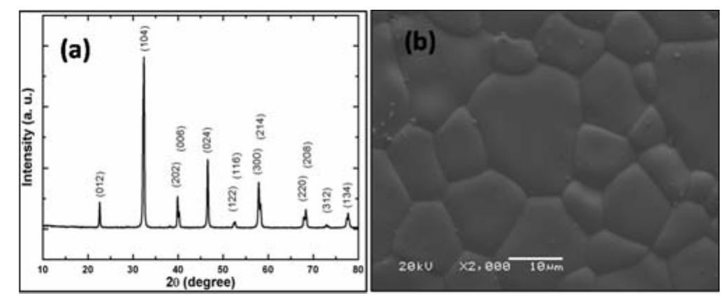 (a) x-ray diffraction pattern and (b) typical sem micrograph
