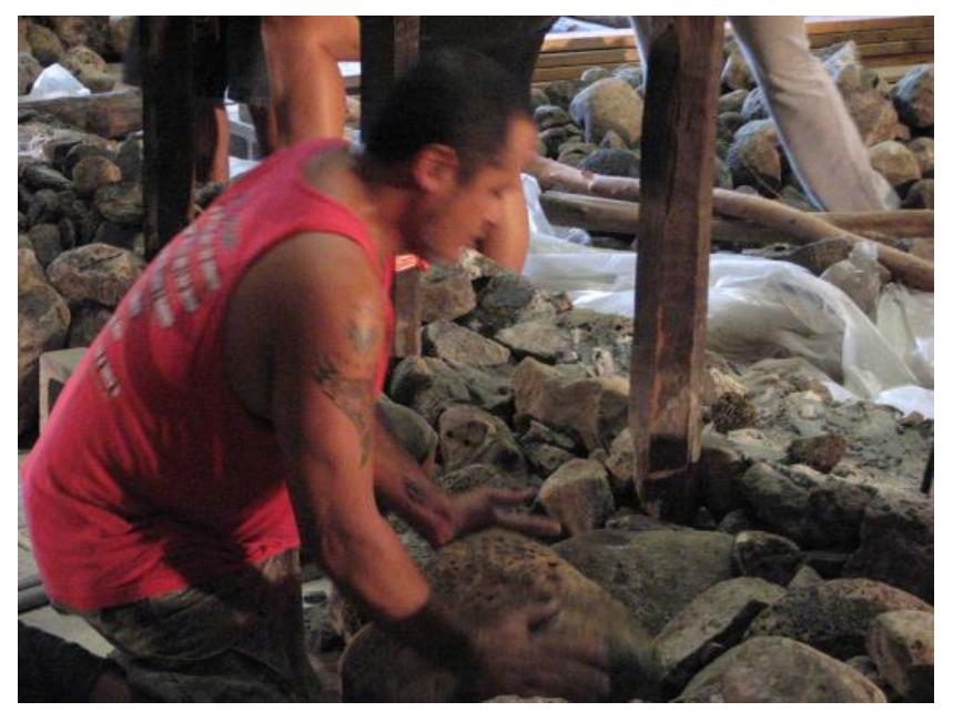 (PDF) Cultural attachment and restoring kindred connections to uhiūhi ...