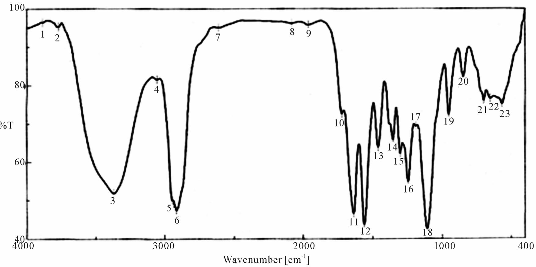 Ftir spectra of pua* 1 (peg 6000 g/mol + polyol + ipdi + he.