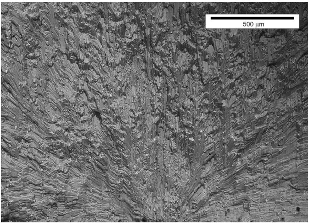 Sem micrograph of fracture surface at the crack initiation