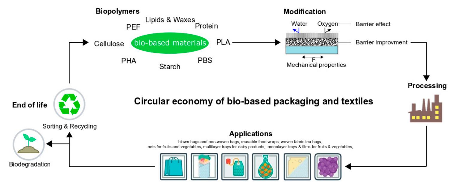 Schematic illustration of an ideal cycle of bio-based